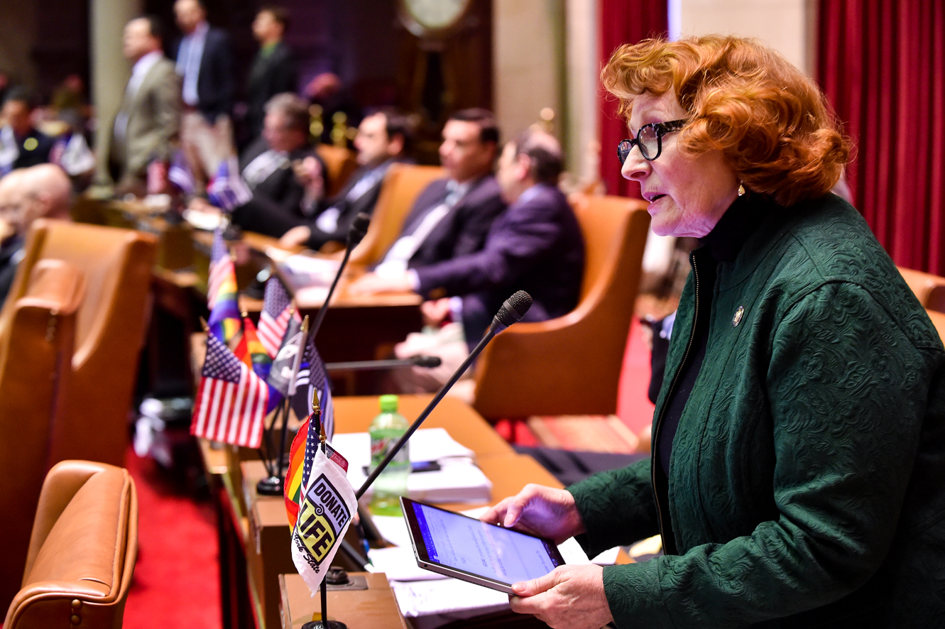 Raise the Age | New York State Assembly